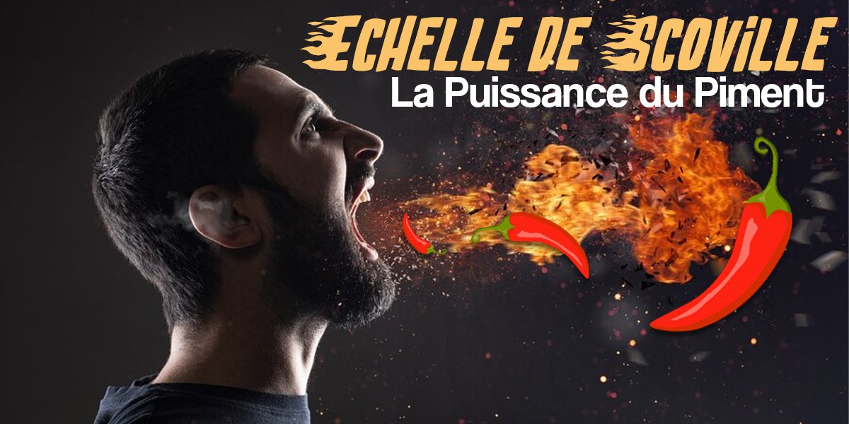 L’Échelle de Scoville - La Force du Piment